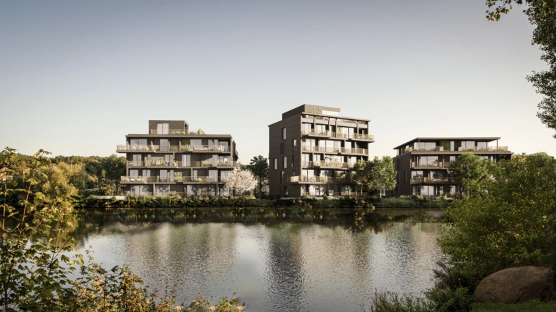 Elevating places | Acasa